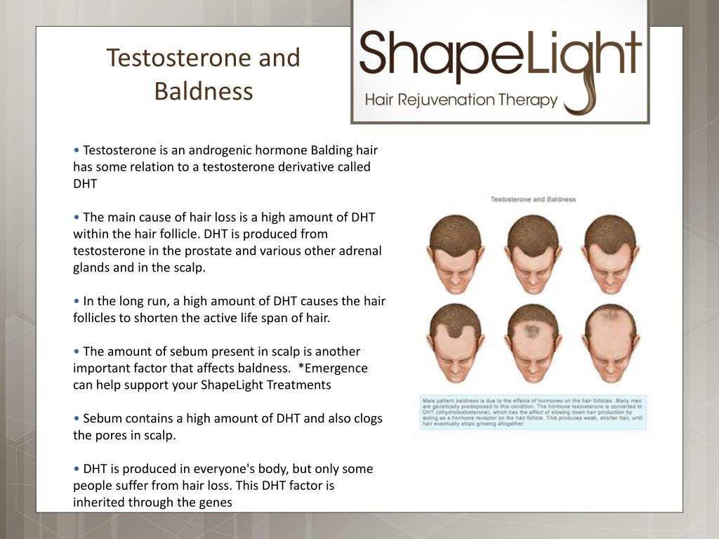 PPT - 3 phases of Hair Growth PowerPoint Presentation, free download ...