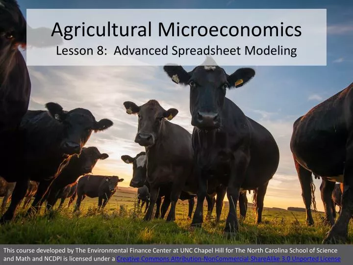 PPT - Agricultural Microeconomics Lesson 8: Advanced Spreadsheet ...