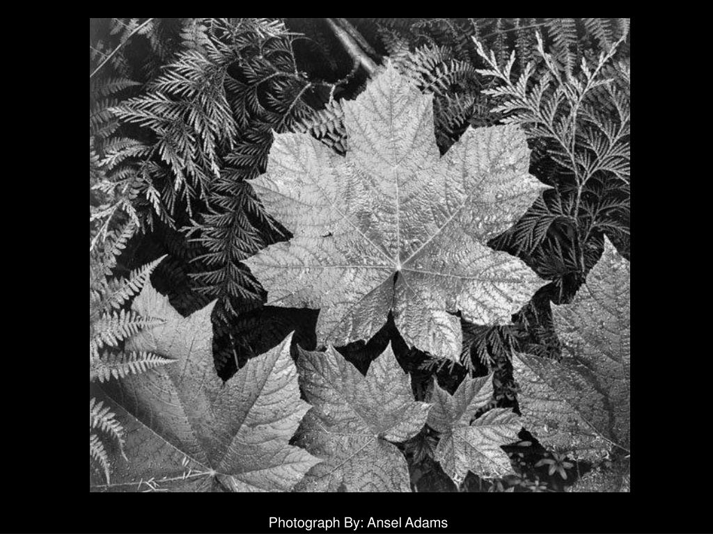 PPT - Media 175 Principles of Digital Photography Ansel Adams Presented ...