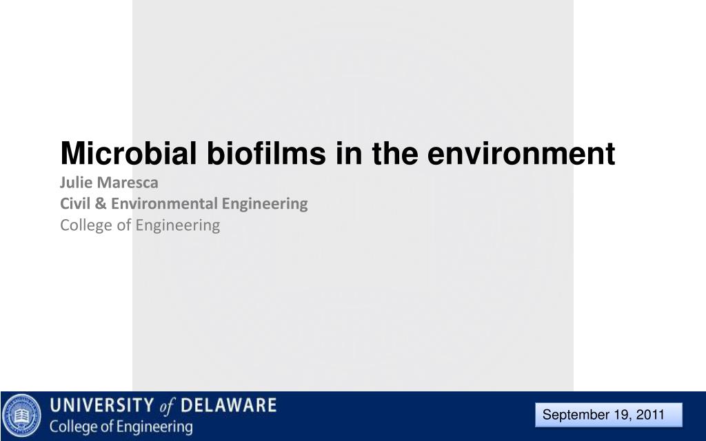 PPT - Microbial biofilms in the environment Julie Maresca Civil ...