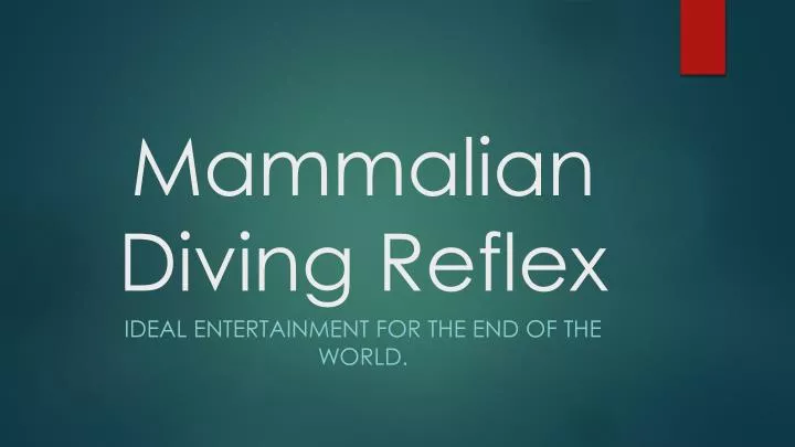 PPT - Mammalian Diving Reflex PowerPoint Presentation, free download ...