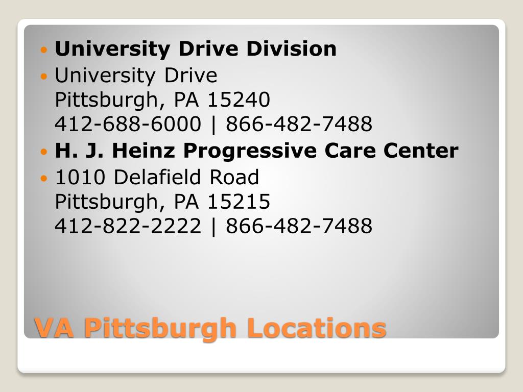 PPT - VA Defining Health Excellence Care in the 21 st Century ...