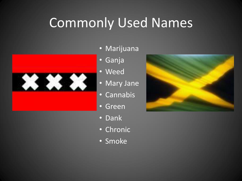 PPT - Journey of Marijuana: A Historical Perspective PowerPoint ...