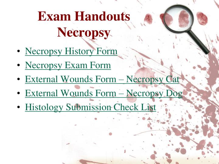PPT - Investigating Animal Injuries PowerPoint Presentation - ID:1557054