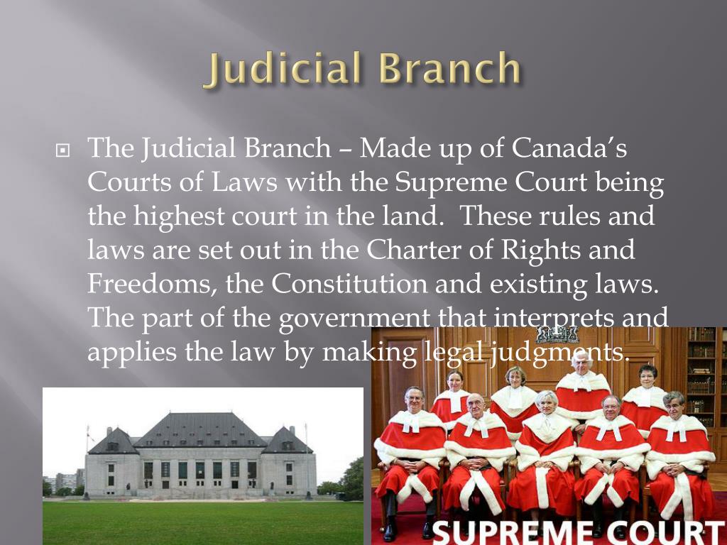 PPT - What is the relationship between the executive, legislative and ...