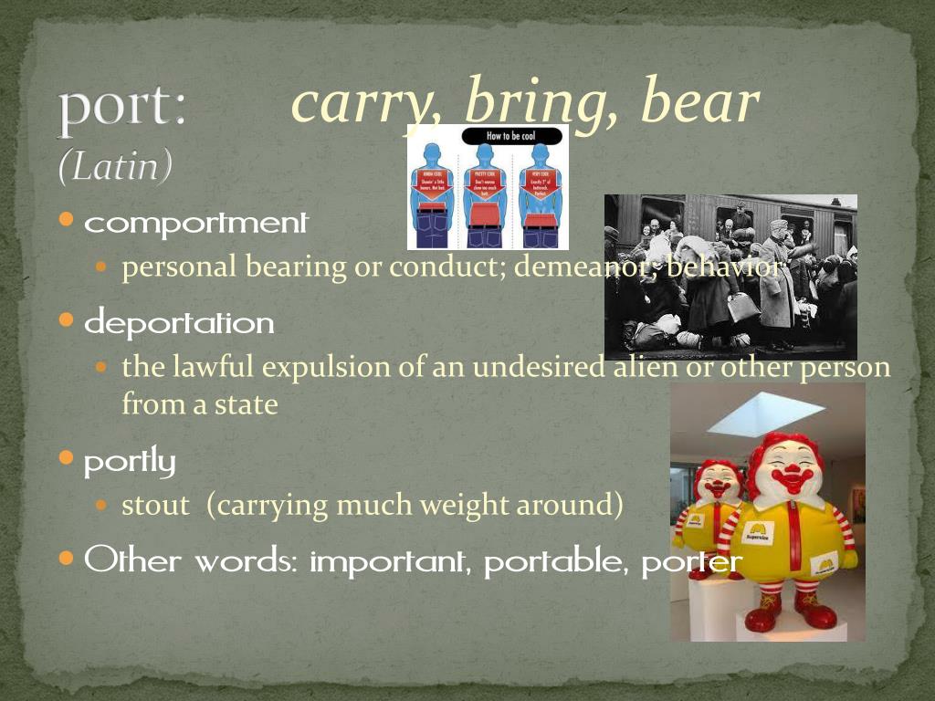 PPT - Greek & Latin Vocab 25 PowerPoint Presentation, free download ...