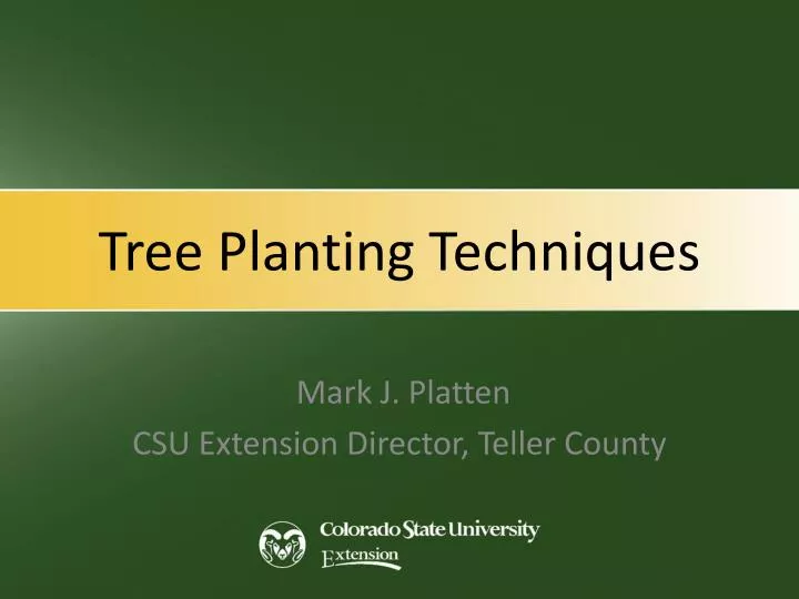 PPT - Tree Planting Techniques PowerPoint Presentation, free download ...