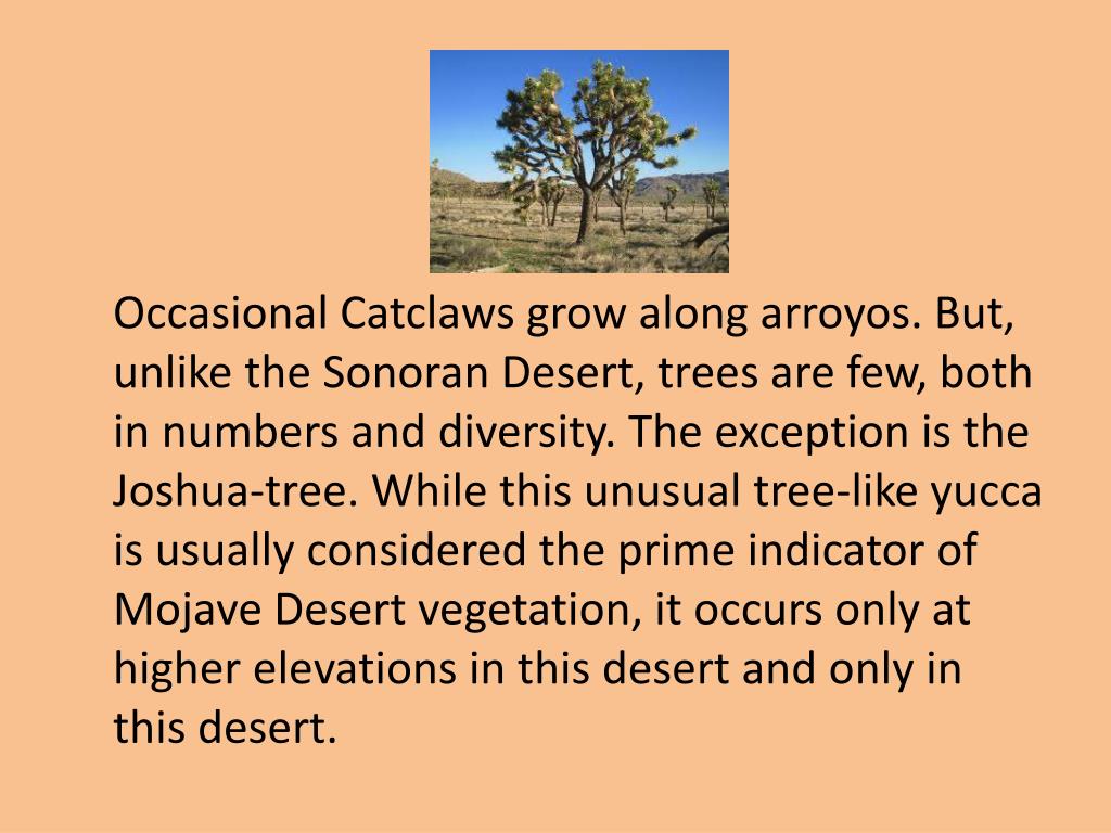 PPT - Chihuahuan Desert Mojave Desert Great Basin Desert Sonoran Desert ...