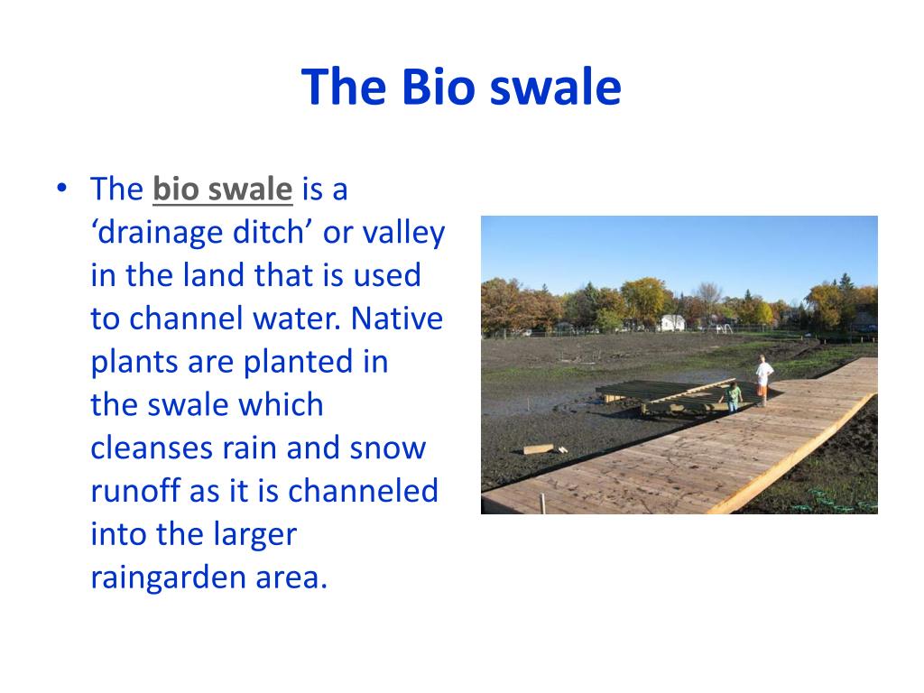 PPT - “Down the Drain” Ecole St. Avila’s Sustainability Project ...