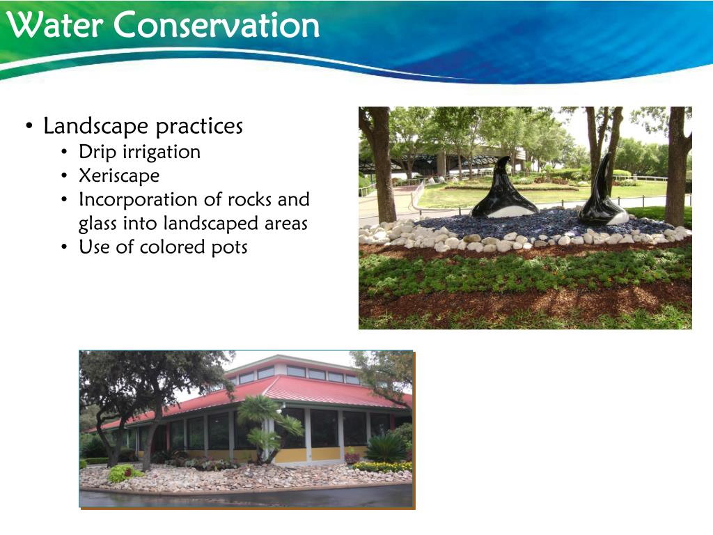 PPT - SeaWorld San Antonio Water Conservation PowerPoint Presentation ...