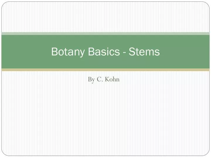 PPT - Botany Basics - Stems PowerPoint Presentation, free download - ID ...