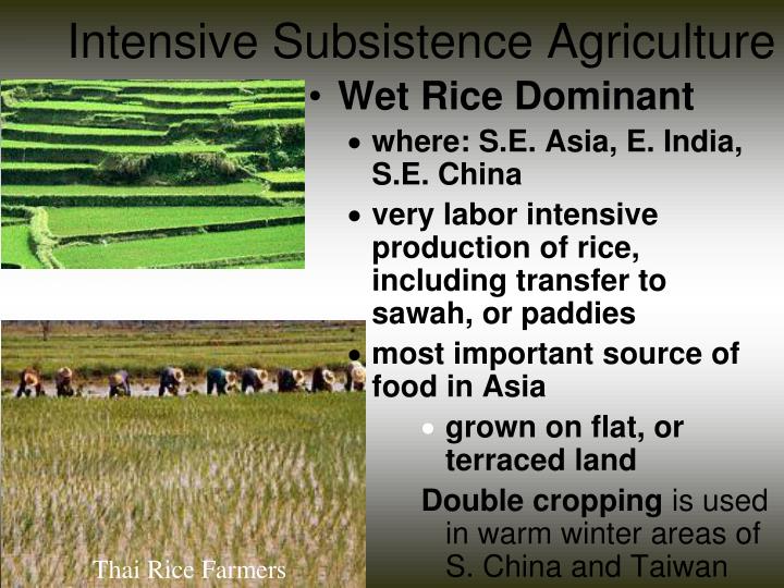 PPT - Types of Farming PowerPoint Presentation - ID:1560344