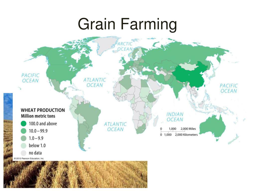 PPT - Commercial Agriculture Regions and Fishing PowerPoint ...