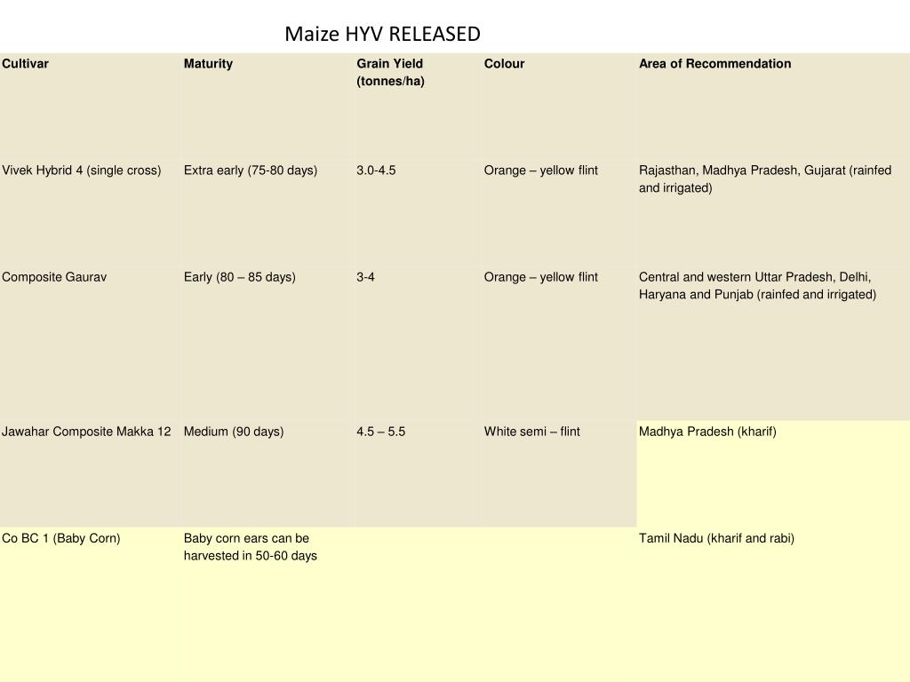 PPT - Morphology,Cultivation ,Area of cultivation&High yielding ...