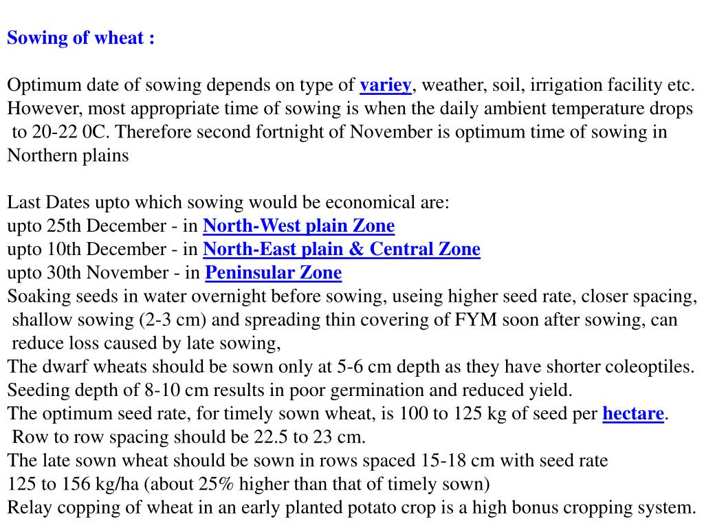 PPT - Morphology,Cultivation ,Area of cultivation&High yielding ...