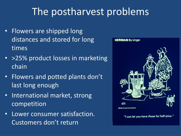PPT - Postharvest Biology and Technology of Ornamentals PowerPoint ...