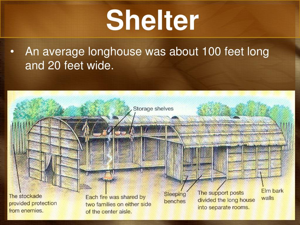 PPT - Native Americans of the Northeastern Woodlands: The Iroquois ...