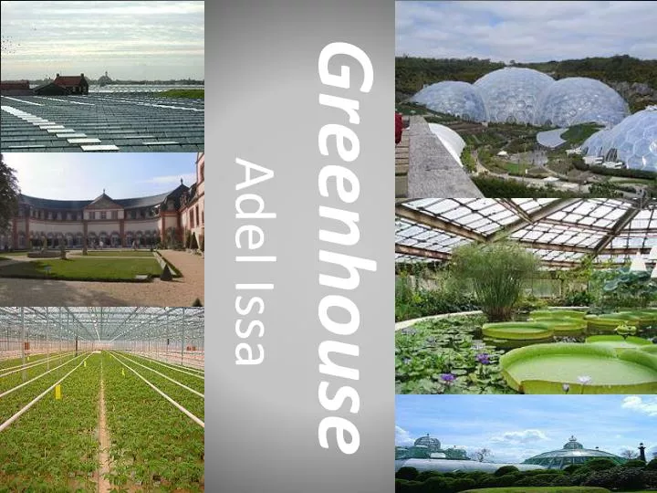 PPT - Greenhouse PowerPoint Presentation, free download - ID:1561527
