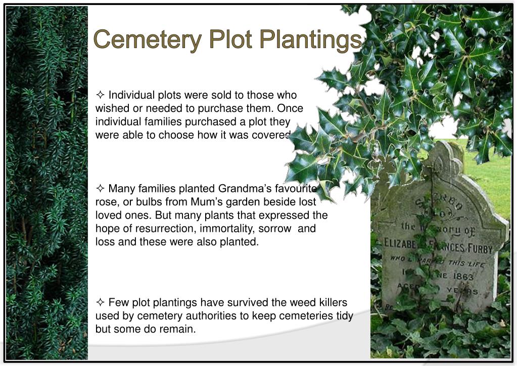 PPT - Cemetery designs and plantings PowerPoint Presentation, free ...