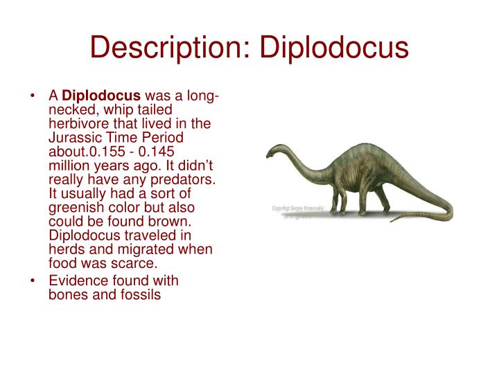 PPT - Diplodocus & Giant Club Mosses PowerPoint Presentation - ID:1561613