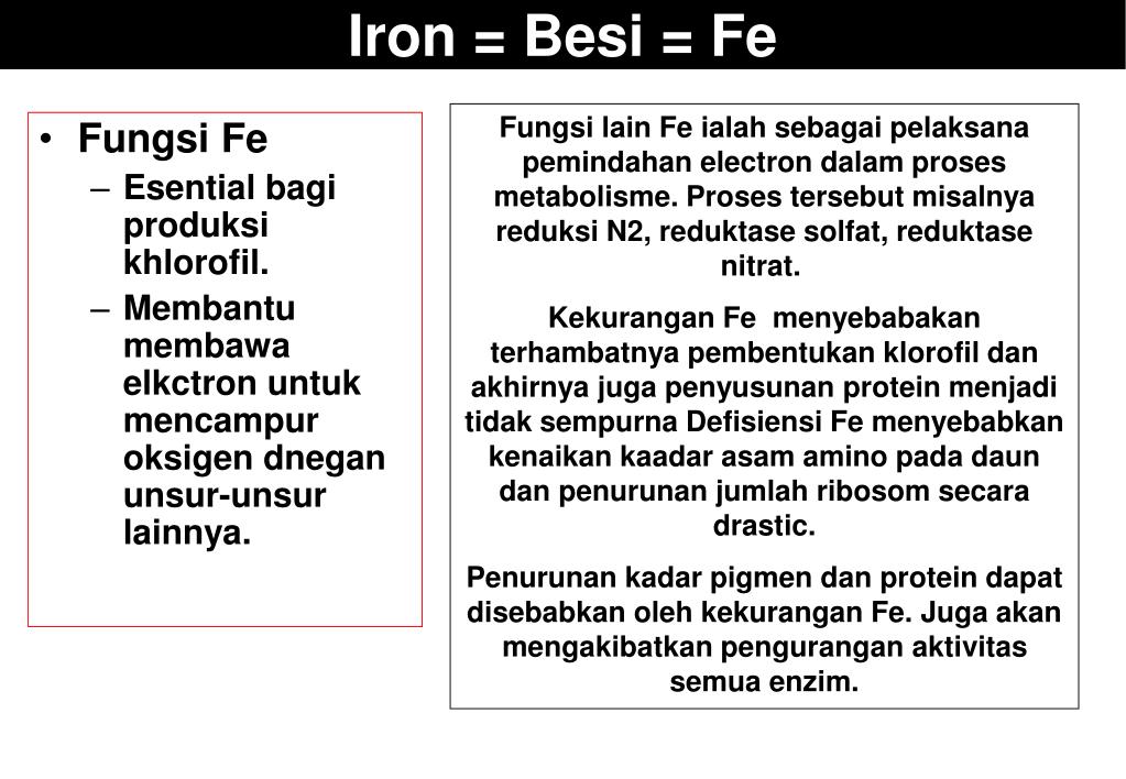 PPT - MANAJEMEN UNSUR HARA PUPUK BAGI TANAH-TANAMAN PowerPoint ...