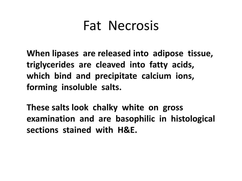 PPT - Cell Injury, Death, Inflammation, and Repair PowerPoint ...