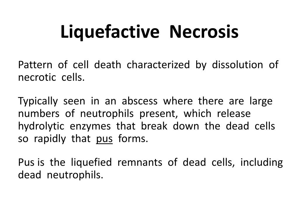 PPT - Cell Injury, Death, Inflammation, and Repair PowerPoint ...