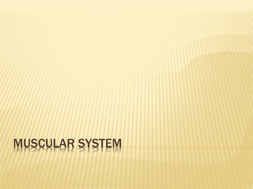 PPT - Muscular system PowerPoint Presentation, free download - ID:1562650