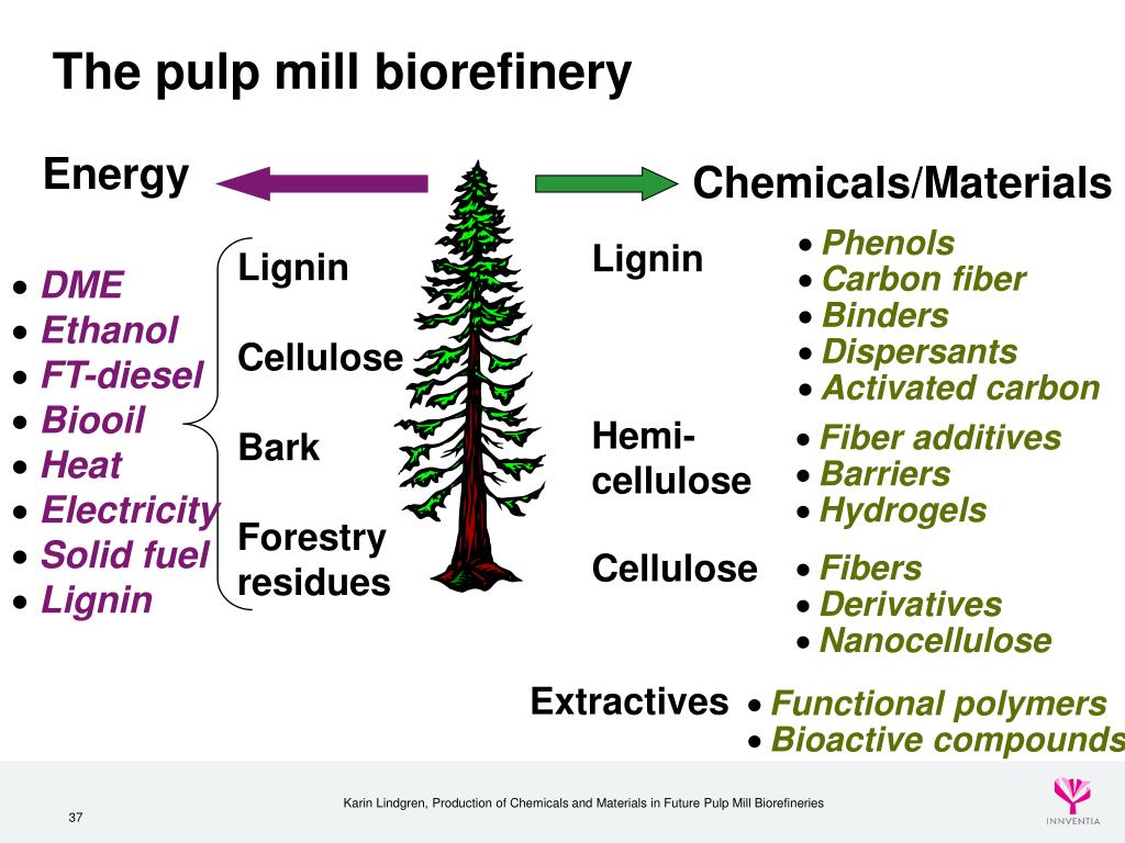 PPT - Production of Chemicals and Materials in Future Pulp Mill ...