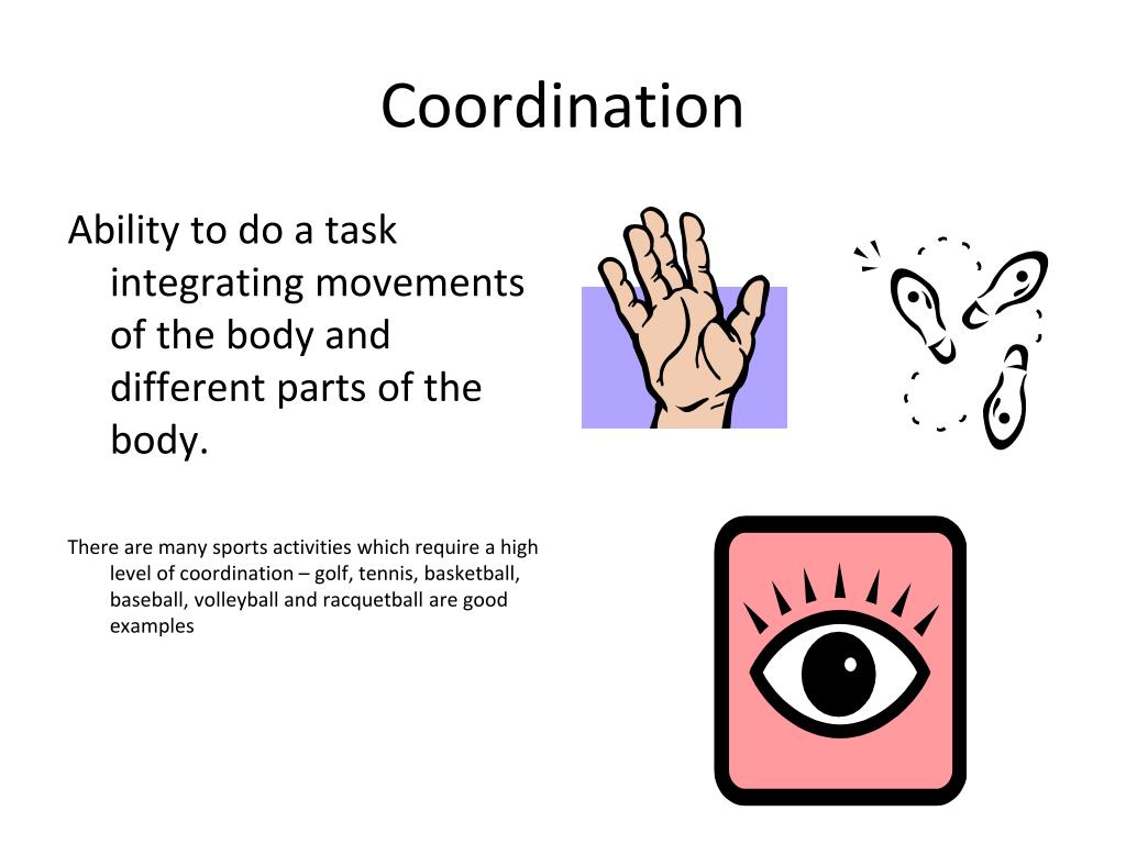 PPT - Health-Related Components of Fitness Systems of the body ...