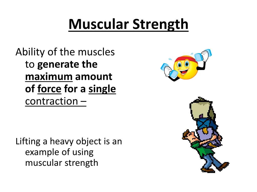 Ppt Health Related Components Of Fitness Systems Of The Body