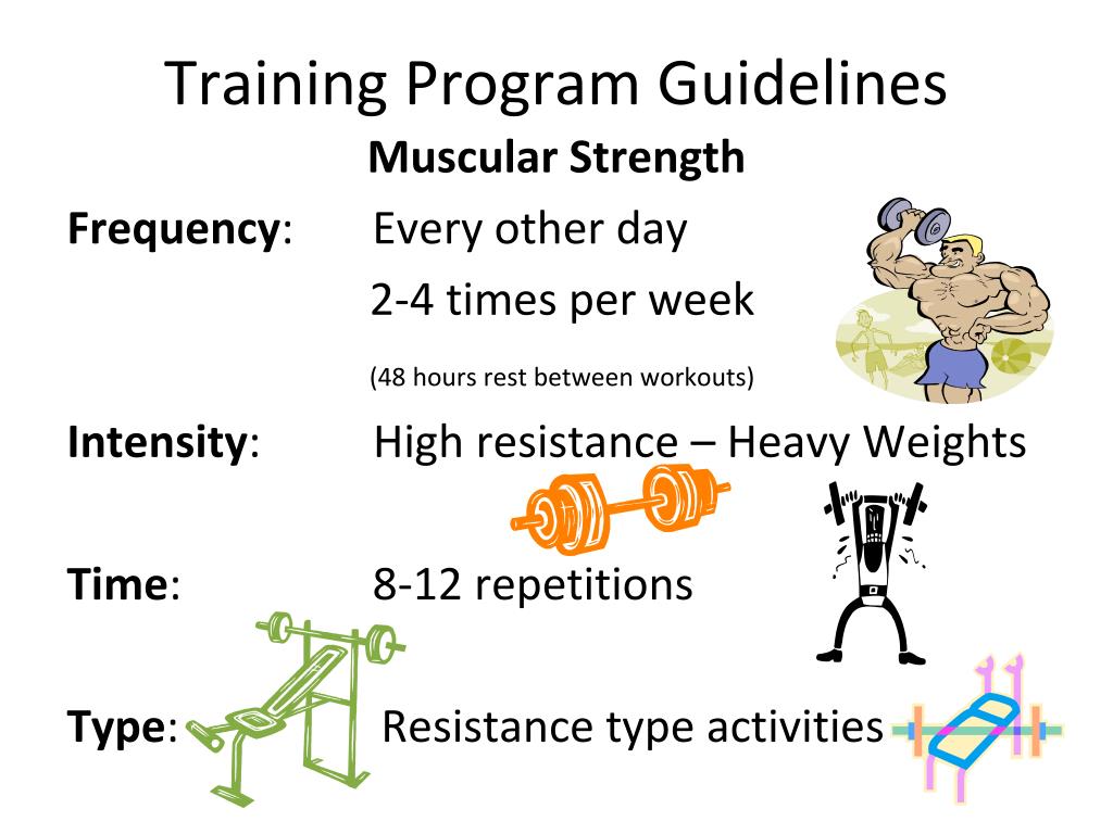 PPT - Health-Related Components of Fitness Systems of the body ...