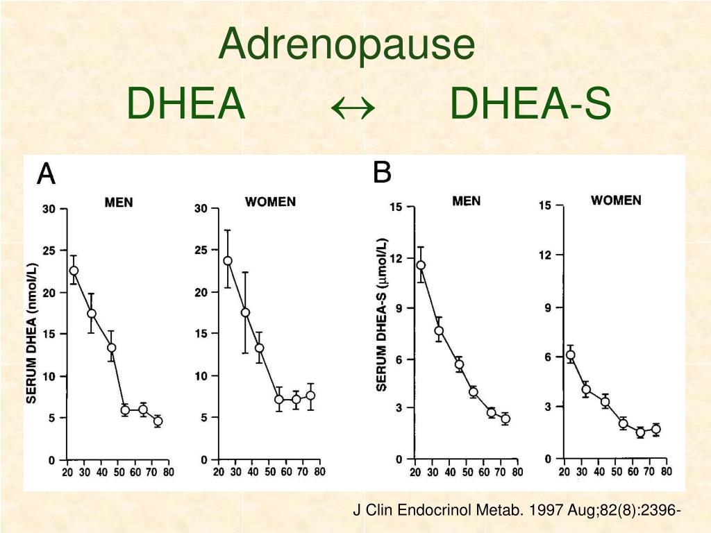 PPT - Bioidentical Hormone Restoration Best Medical Practice PowerPoint ...
