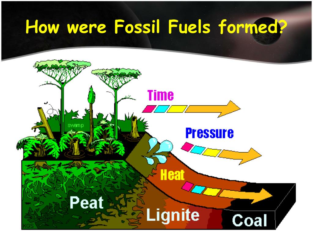 Fossil Fuels Ppt Free Download Fossil Fuels Ppt Free Download