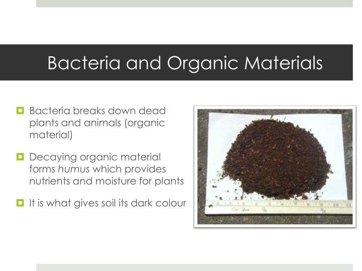 PPT - Soil & Natural Vegetation of Canada PowerPoint Presentation - ID ...