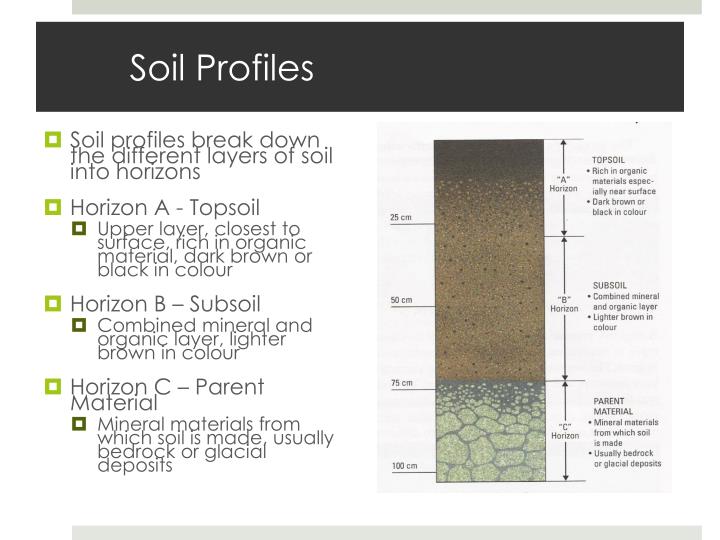 PPT - Soil & Natural Vegetation of Canada PowerPoint Presentation - ID ...