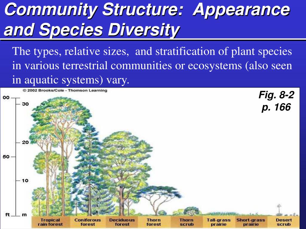 PPT - Community Ecology: Structure, Species Interactions, Succession ... PPT - Community Ecology: Structure, Species Interactions, Succession ...