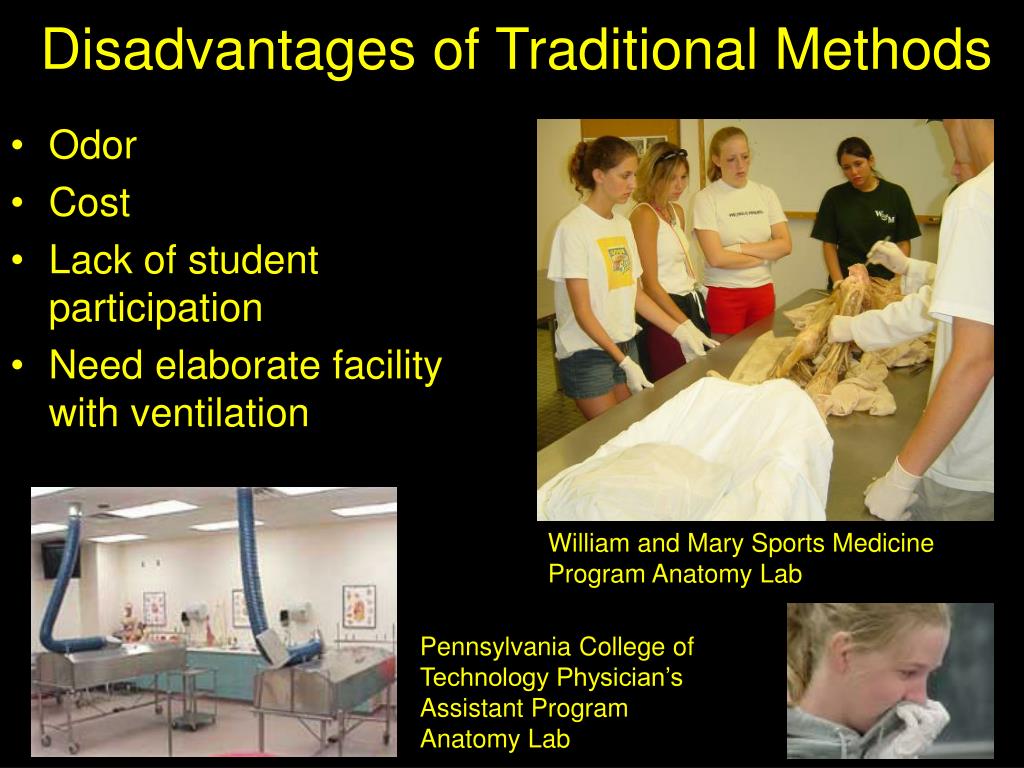 PPT - Use of Plastinated Human Cadavers in Anatomy & Physiology ...