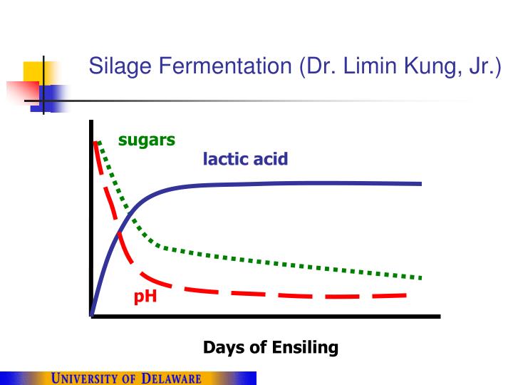 PPT - Principles of Silage Fermentation and Management PowerPoint ...