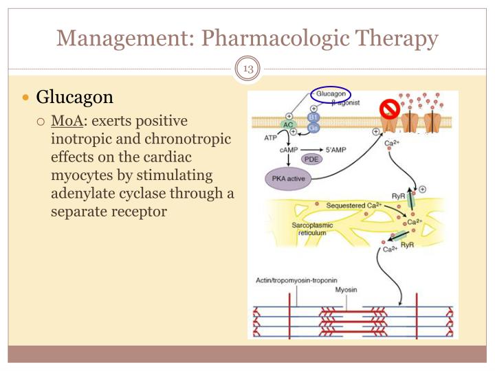 PPT - H igh dose insulin for calcium channel blocker overdose ...