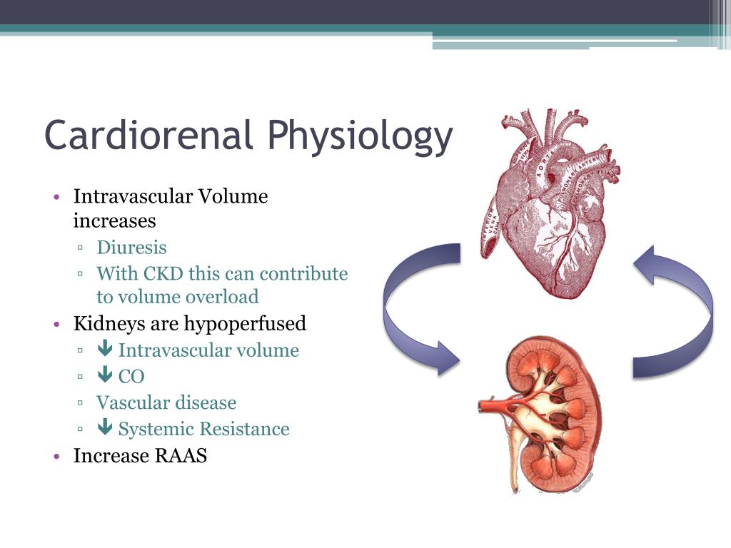PPT - Primary Care Management of Cario-Renal Syndrome PowerPoint ...