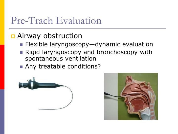 PPT - Pediatric Tracheostomy PowerPoint Presentation - ID:1567064