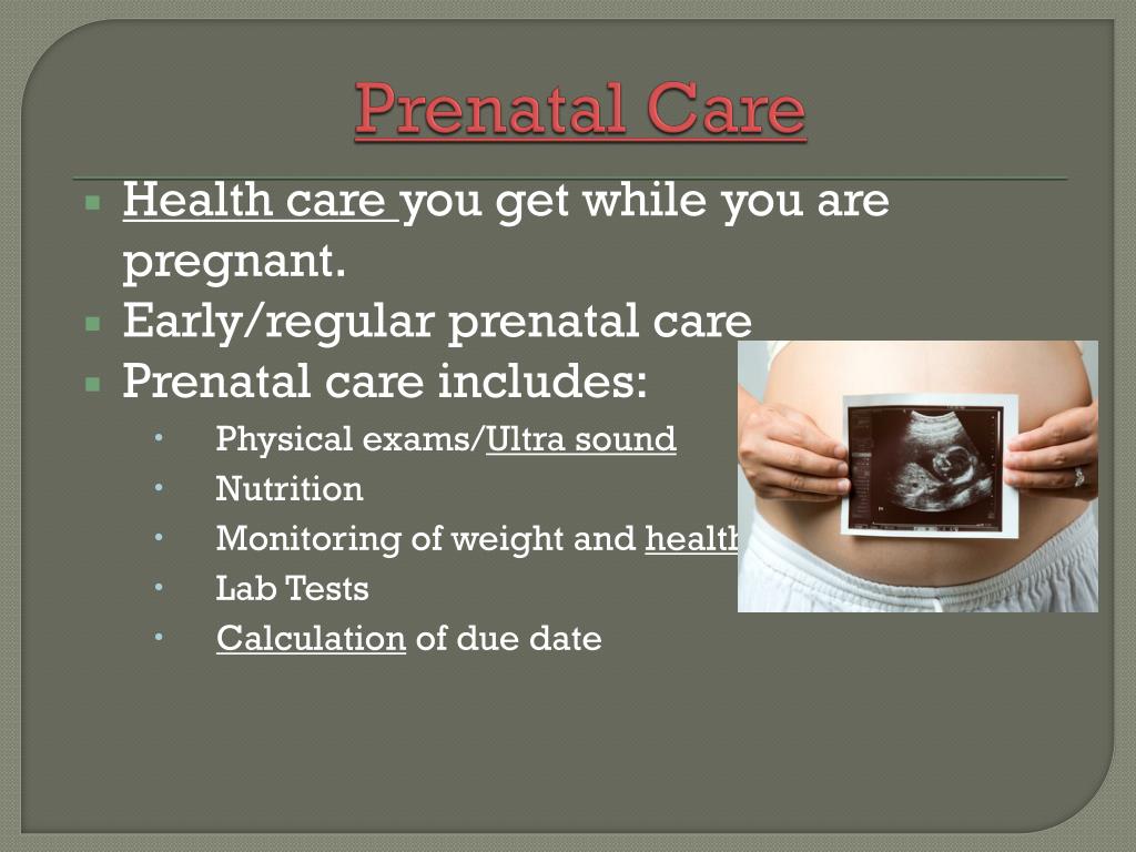PPT - Parenting: Prenatal Care and Birth Defects PowerPoint ...