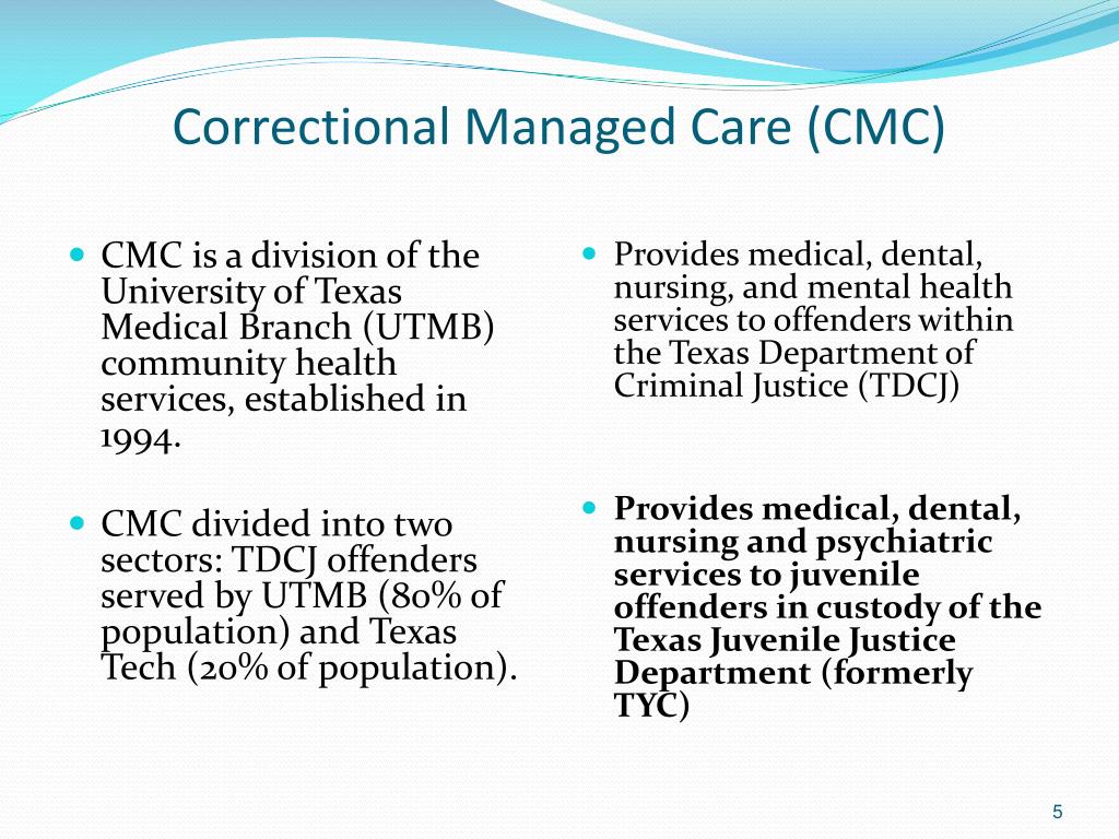 PPT - Juveniles Behind Bars: Meeting Treatment Needs Through a ...