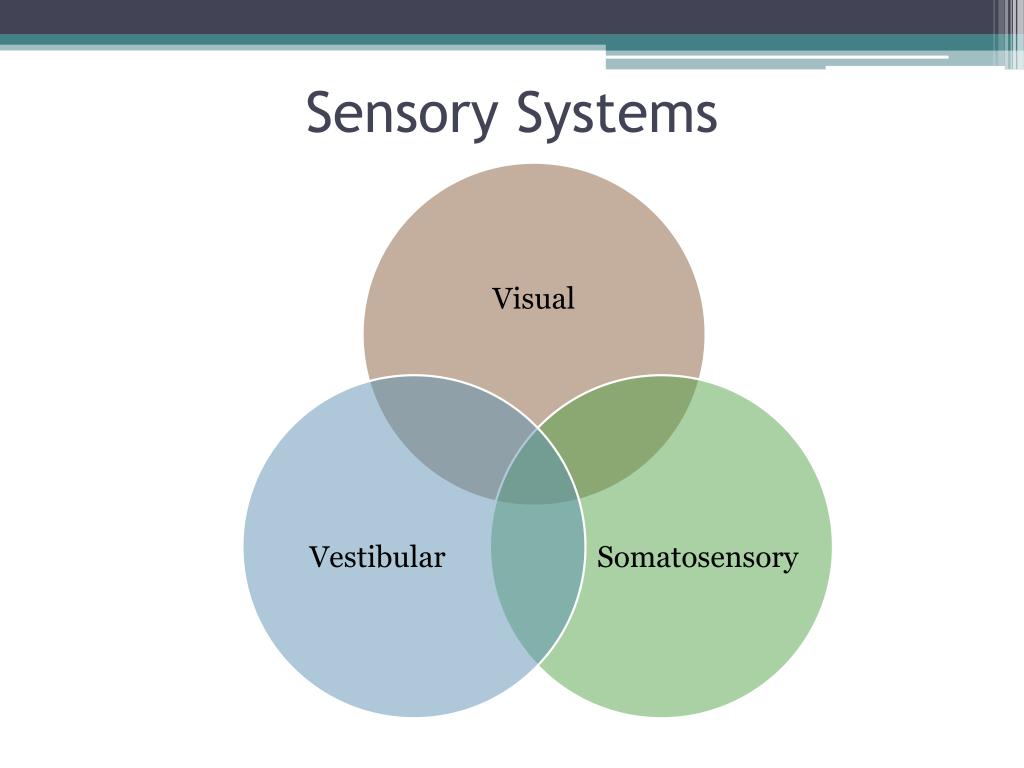 PPT - Cervicogenic Dizziness Differential Diagnosis & Treatment ...