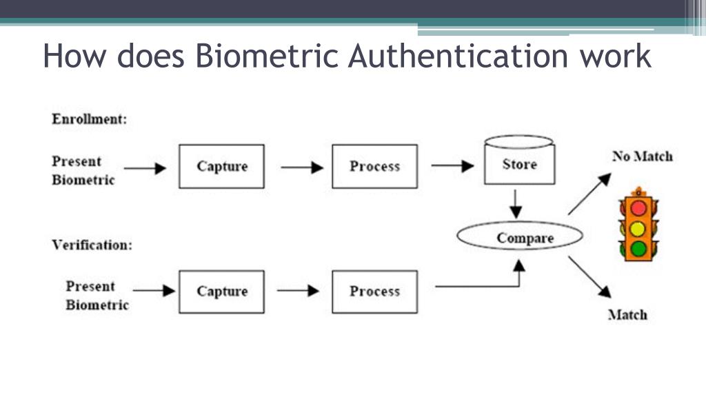 PPT - Biometric Authentication PowerPoint Presentation, free download ... PPT - Biometric Authentication PowerPoint Presentation, free download ...