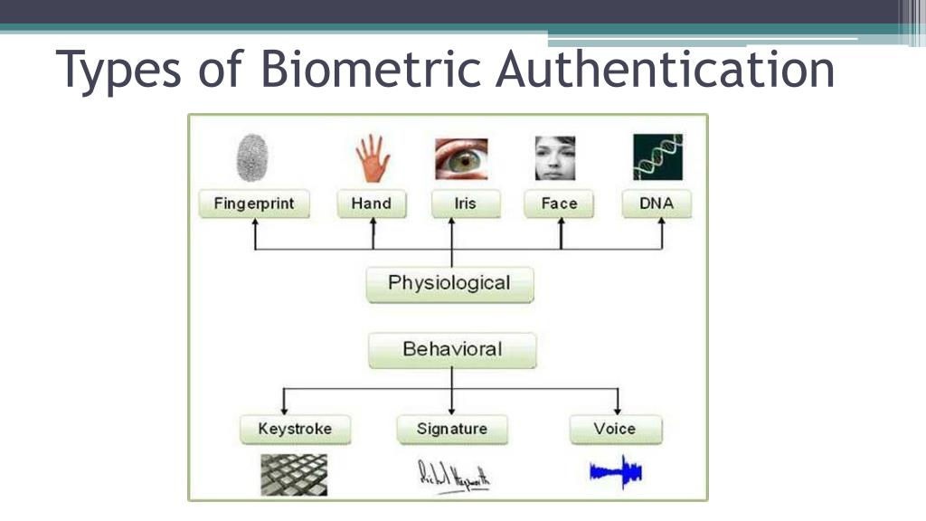 Types Of Biometric Authentication Which One Is The Mo - vrogue.co Types Of Biometric Authentication Which One Is The Mo - vrogue.co