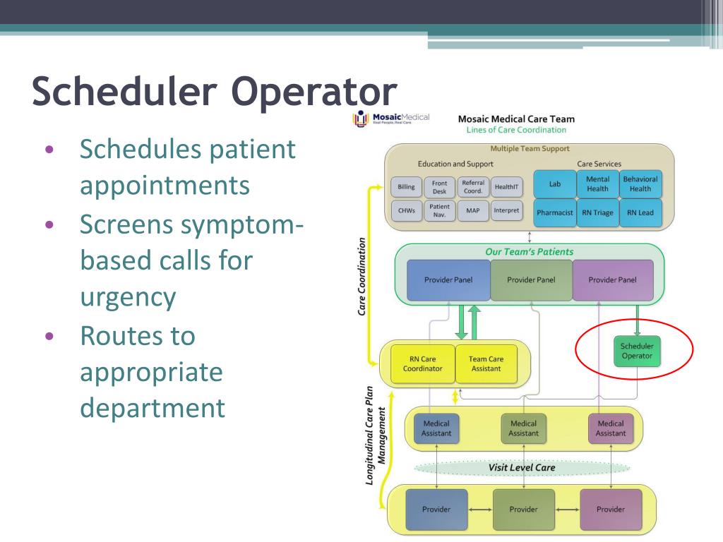 PPT - Cultivating a Robust Primary Care Home Team PowerPoint ...