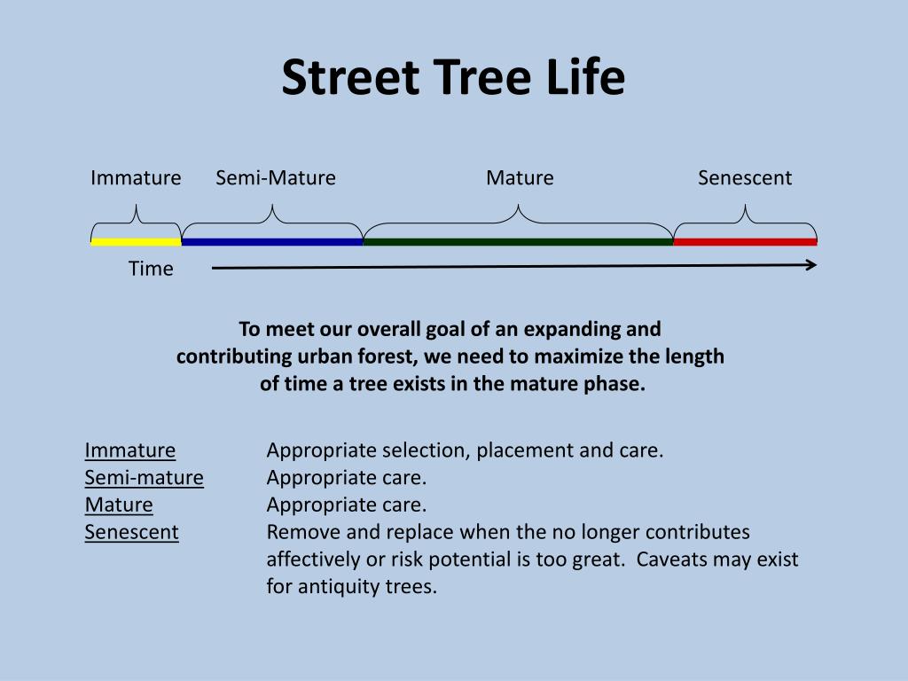PPT - ISA Certified Arborist Training Chapter 14 – Urban Forestry ...