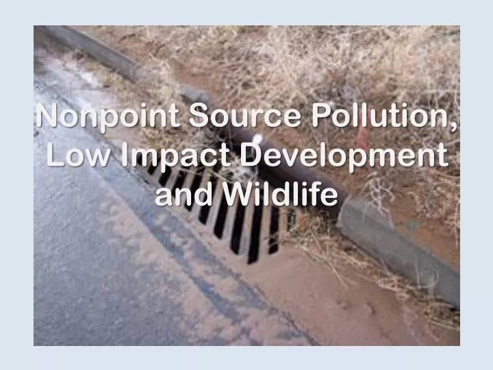 PPT - Nonpoint Source Pollution, Low Impact Development and Wildlife ...